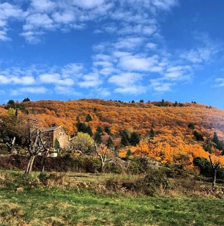 Mas Cévenol De 1850, Lou Brusc - Les Vans