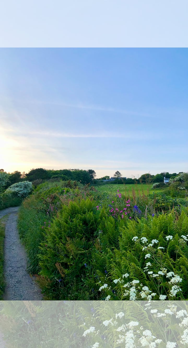 Design-led Remote Cottage | 6 Miles To Sennen - Sennen