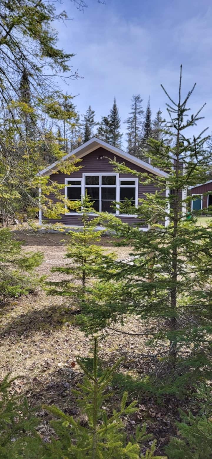 I'll Be Back! - Cheboygan, MI