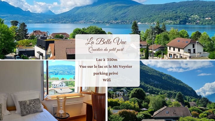 Vue Splendide ! 4mn Du Lac, Proche Du Centre Ville - Lac d'Annecy
