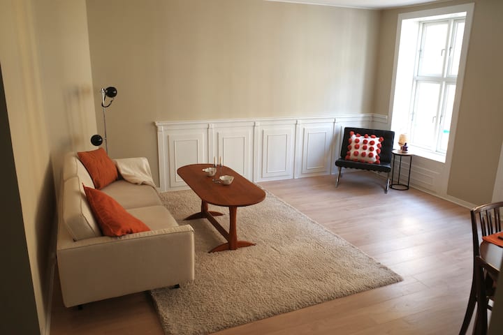 Sentralt Leilighet Midt I Oslo St. Hanshaugen - Oslo