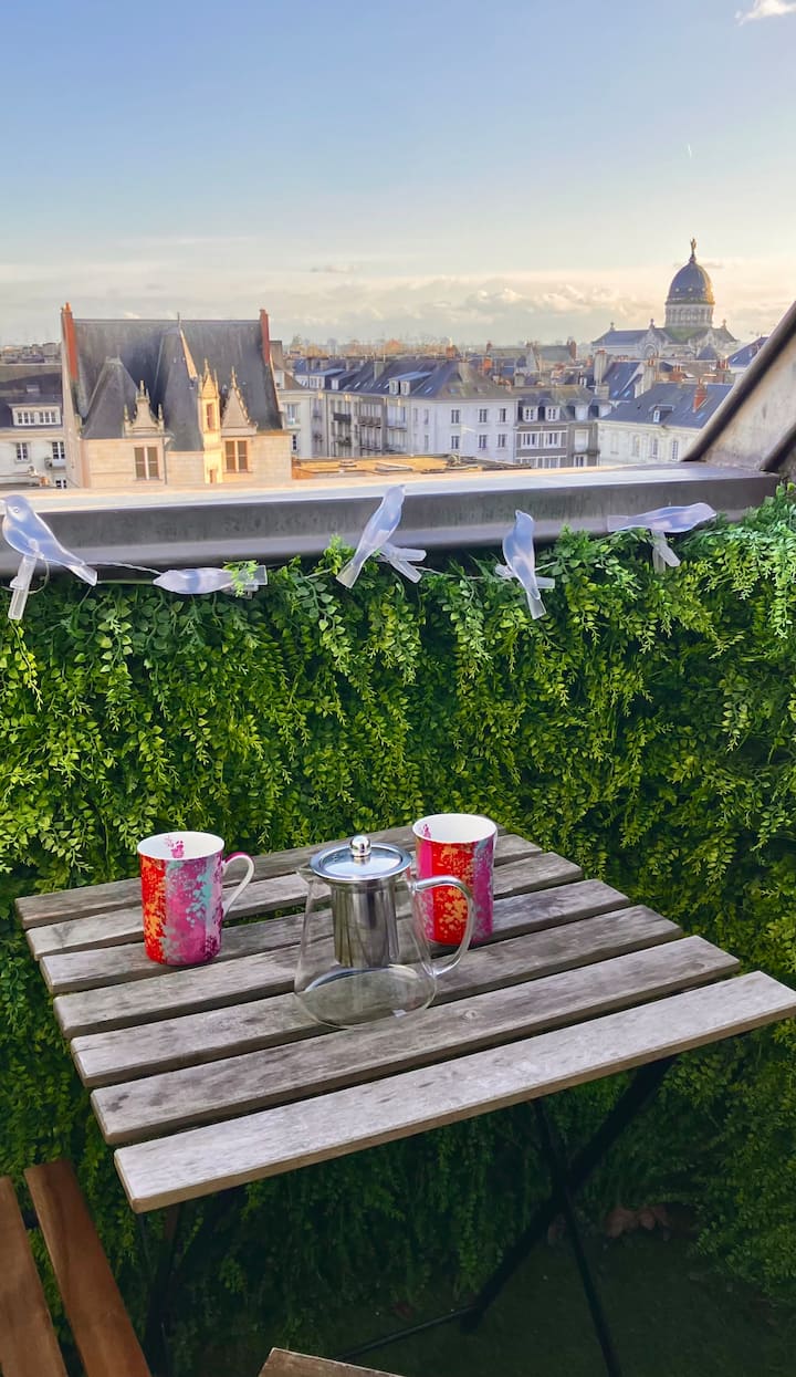 Un Balcon Sur La Ville, Ministudio En Hyper Centre - Tours