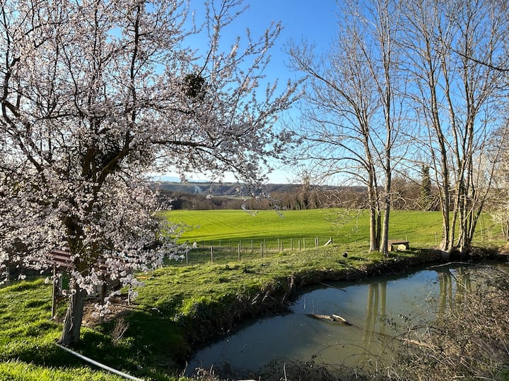Maison Horizon • Bel-air Des Collines - Hauterives
