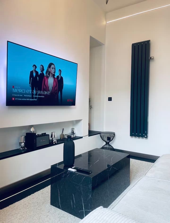 Appartement Avec Vue Sur Le Musée - Besançon