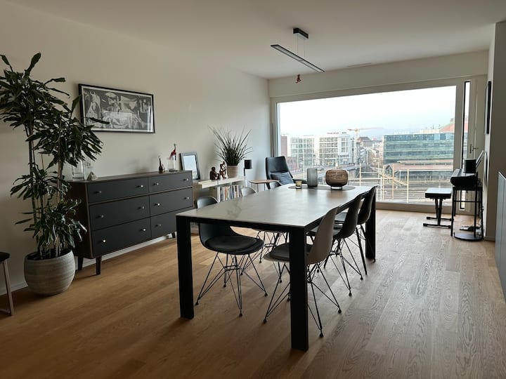Luxury Penthouse Apartment 2 Bed / 2 Bath - Basel