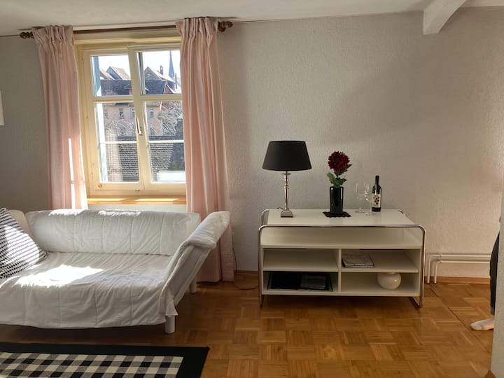Cozy Dach-maisonette-wohnung - Rhein-/burgblick - Canton of Schaffhausen