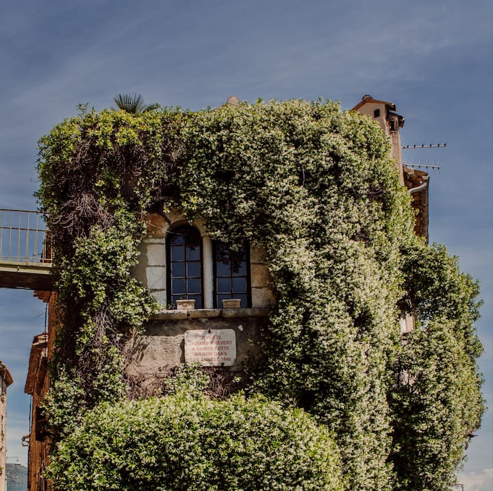 Romantic Terrace • Prévert House • Sea View - Saint-Paul-de-Vence
