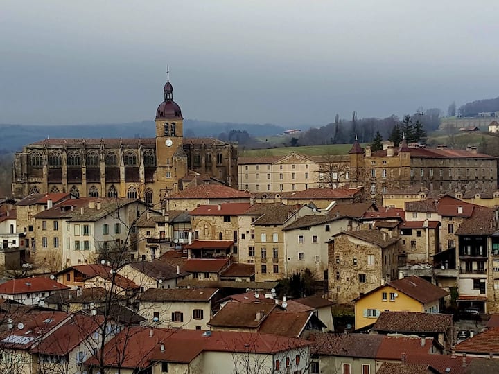 Maison Gothique! Stupendous Village - Saint-Marcellin