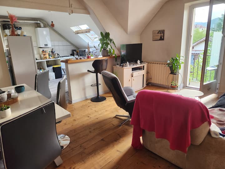 Chambre Zen - Annecy-le-Vieux