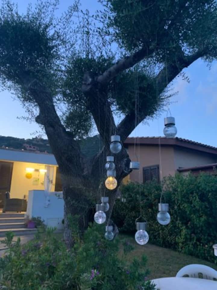 Costa Rei Resterà Nel Cuore - Costa Rei