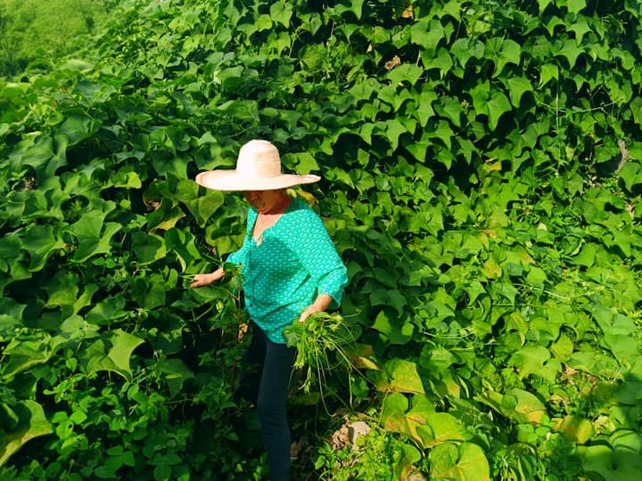 La Kaz Mimi - Réunion