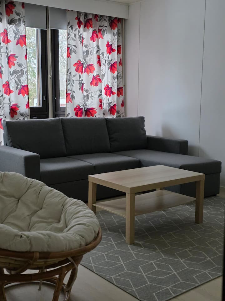 Saunallinen Kaksio Puumalassa - Puumala