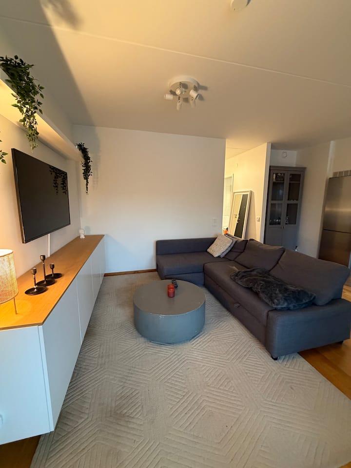 Trevlig Och Fräsch 2 Rum Och Kök, 67kvm - Stockholm