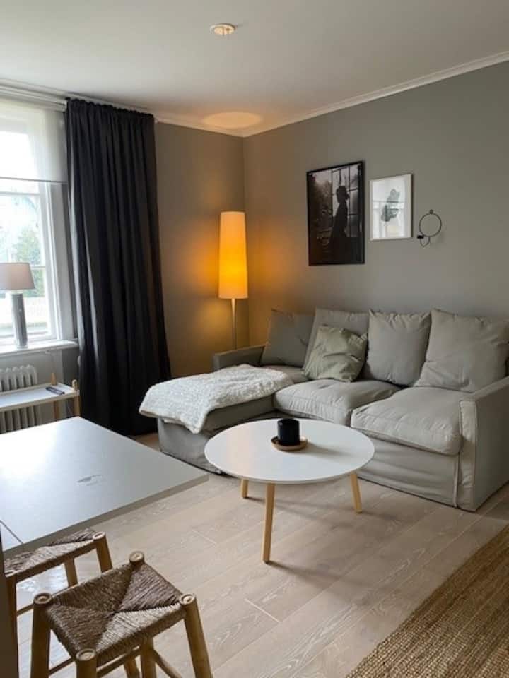 Centralt Läge I Ett Lugnt Område - Jönköping