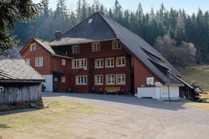 Alte Schmiede  2 Fewos - Titisee-Neustadt