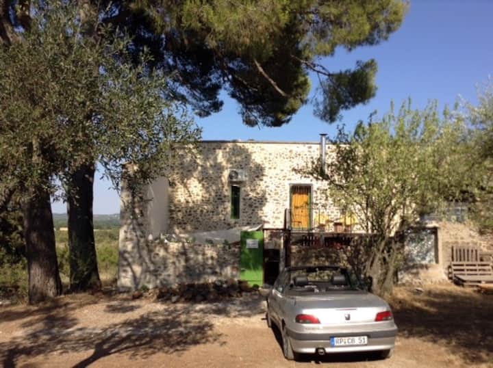 Loft Auf Olivendomäne Nähe Pezenas, Meeresnähe - Pézenas
