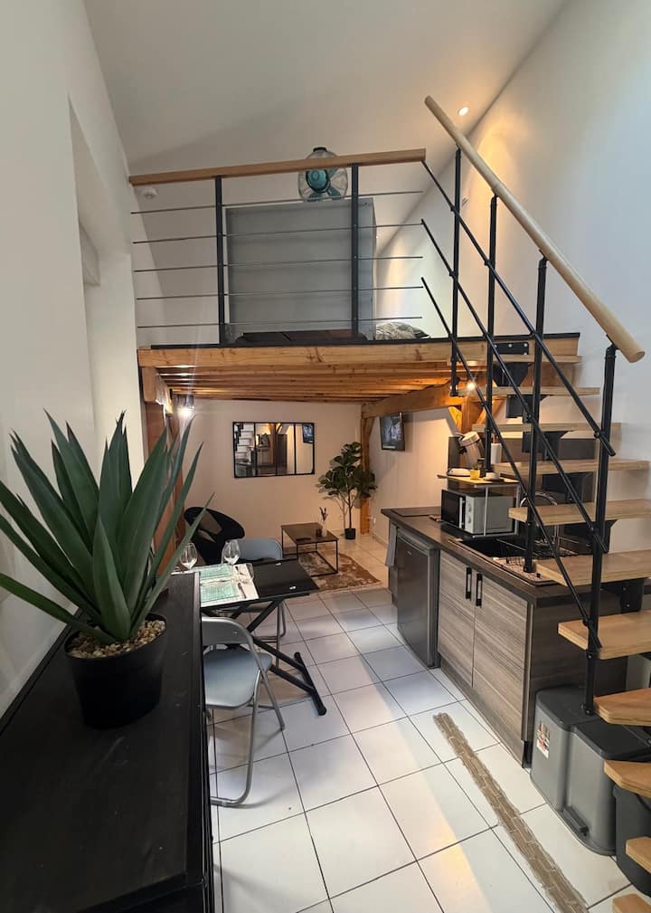 Les Orfèvres : Duplex Cosy Centre Historique - L'Odéon