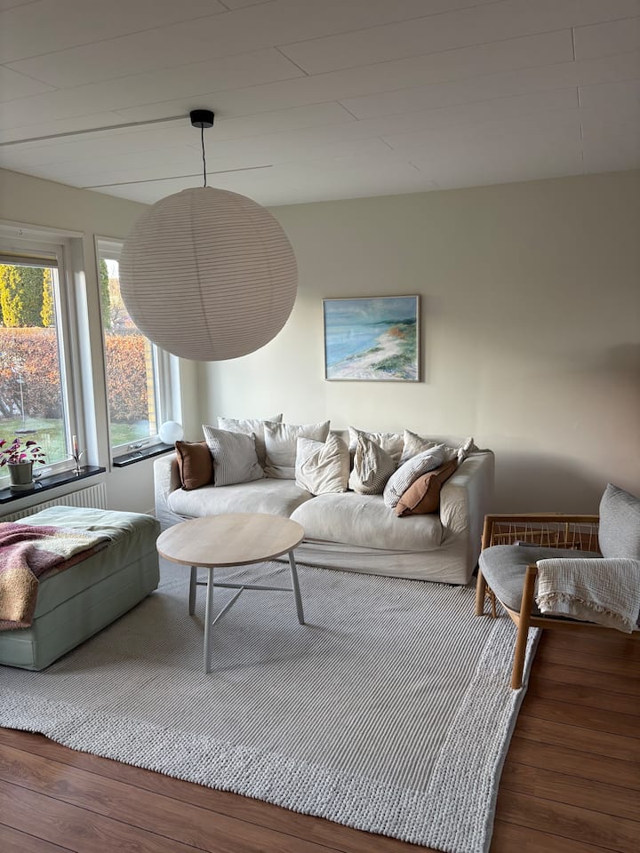 Enplanshus Med Stor Tomt - Helsingborg