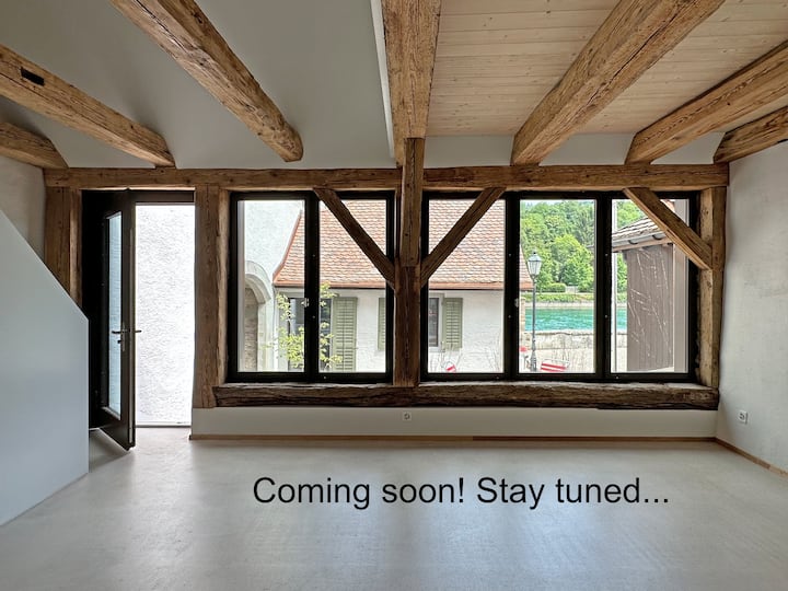 Färberhaus Denkmal Rheinfall Schaffhausen Bodensee - Schaffhouse