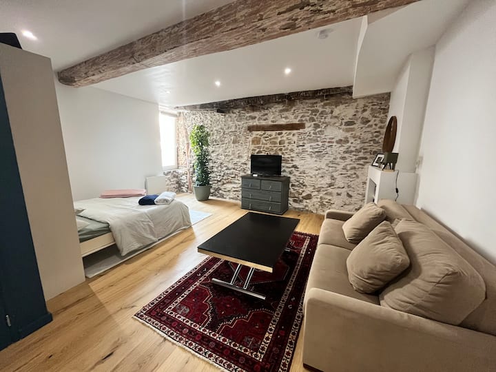 Medieval Studio · Heart Of Vieux Lyon · Stonewall - Lyon