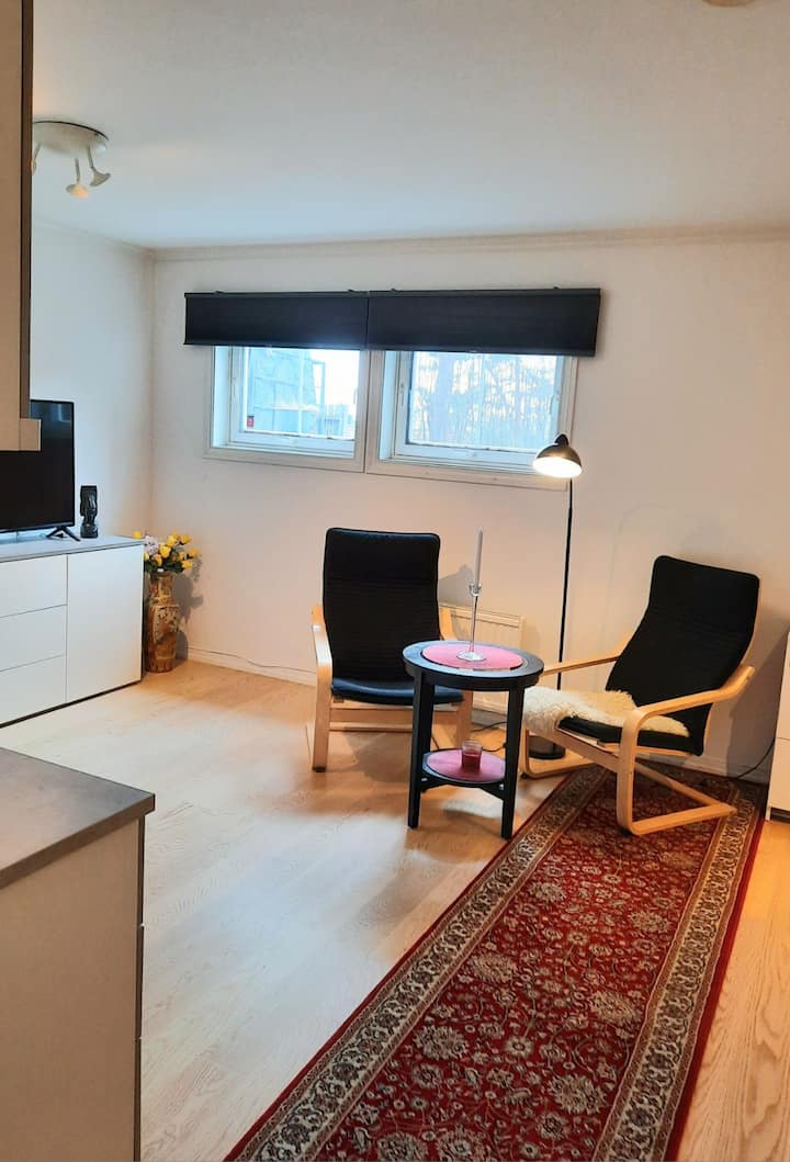 Flott Kjellerleilighet På Ekeberg Nær T-bane - Oslo
