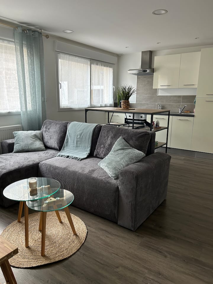 Le Cocon Du Centre • T2 Cosy • Cour Privée •4 Pers - Flers