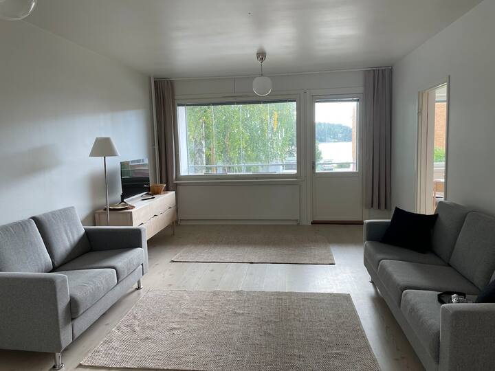 Viitasaaren Keskustassa Kolmio, Järvinäkymä - Viitasaari