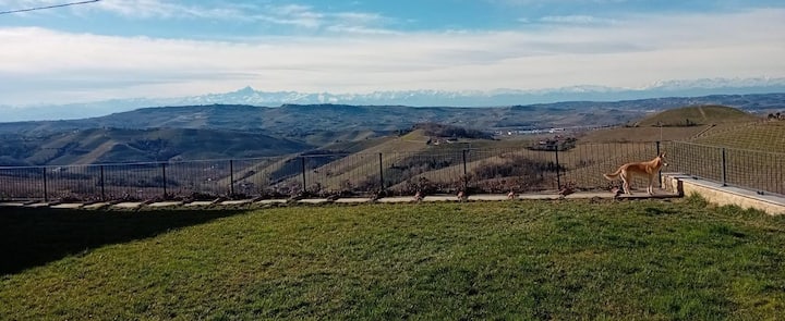 Casa La Marghina - Alba