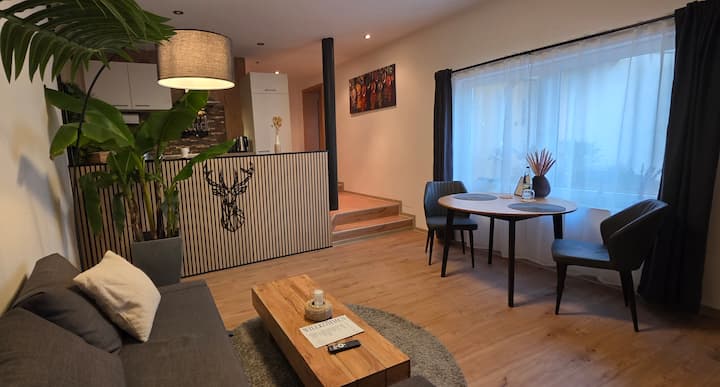 Apartment Am Blankenburger Tor Saalfeld - Saalfeld