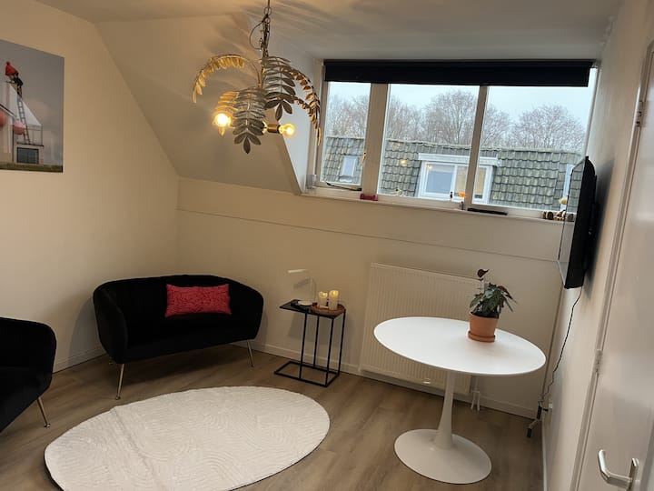 Cozy Kamer In Haarlem Met Surf Vibes - Haarlem