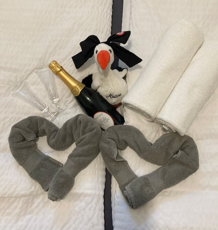 Le Charme De Colmar B&b - Colmar