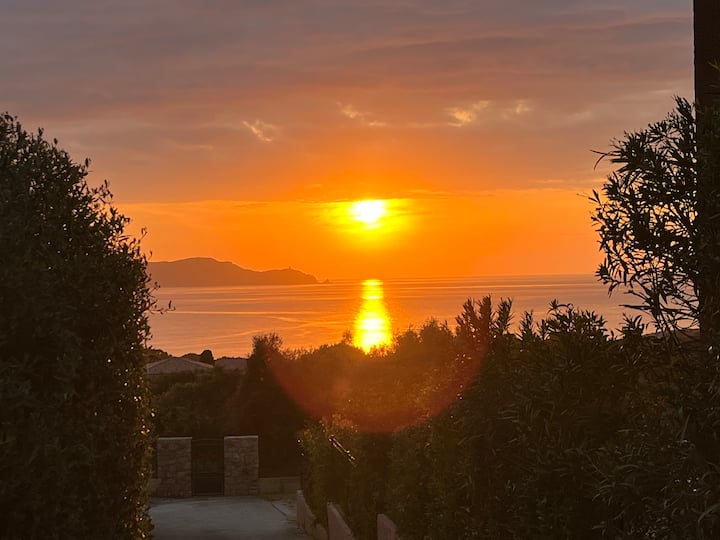 Appartement En Résidence  Lumio France
1 Chambre - Lumio