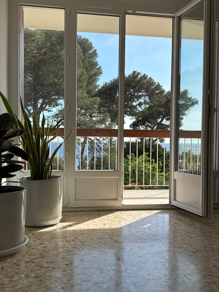 Vue Mer | Terrasse | 100m De La Plage | 2 Chambres - Carqueiranne