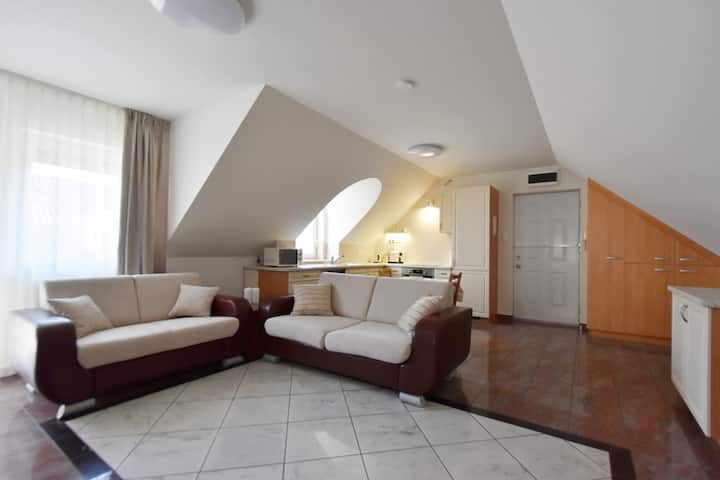 Lehel Apartman Belváros Közeli Kényelmes Lakás - Győr
