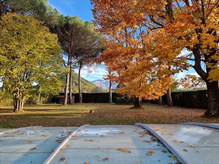 Villa Avec Grande Piscine, Parc Arboré 3000 M² - Foix