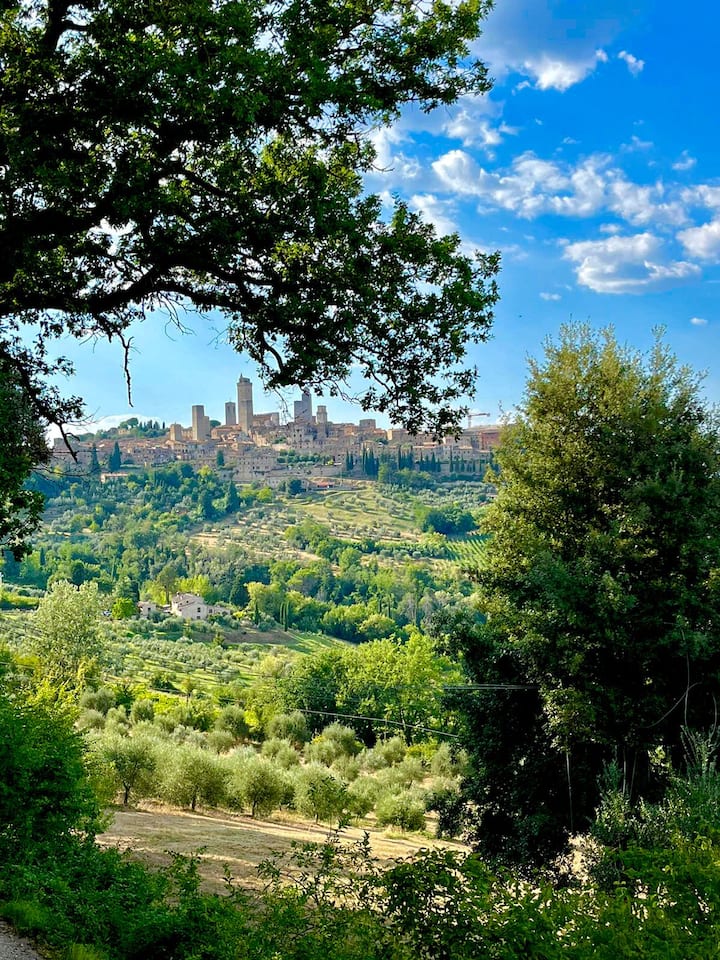 Appartamento Degli Ulivi - San Gimignano