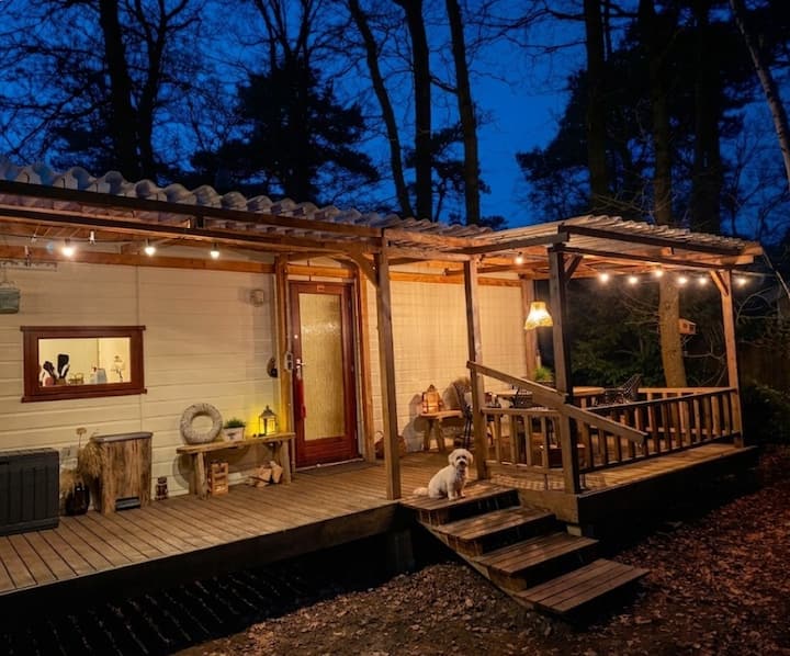 Bosuiltje| Knus Boshuisje Met Veranda En Pizzaoven - Drenthe