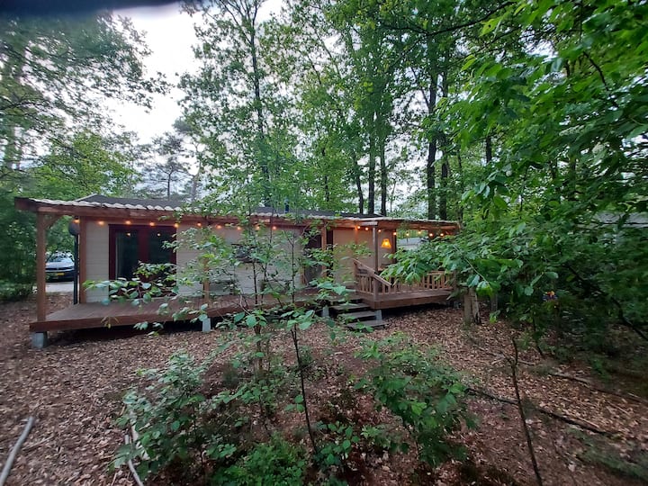 Bosuiltje | Knus Boshuisje In Norg. - Netherlands