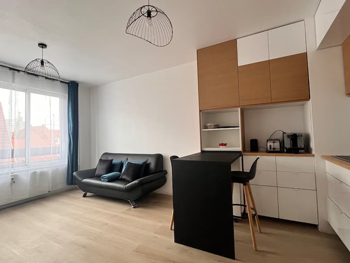 Nid De Cigogne - Colmar