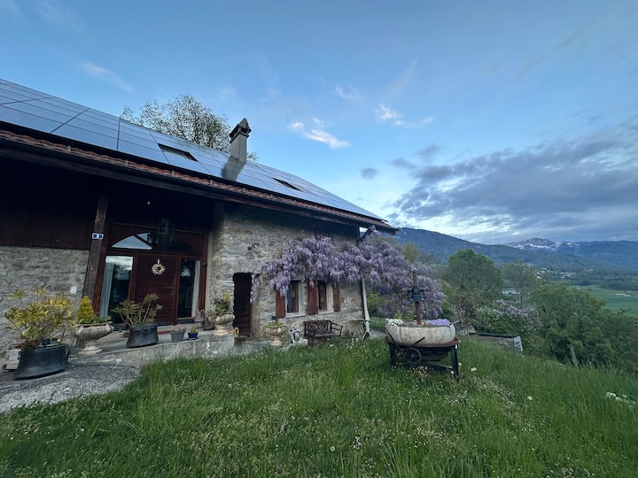 Chambre Indépendante Dans Un éCrin De Verdure - Vevey