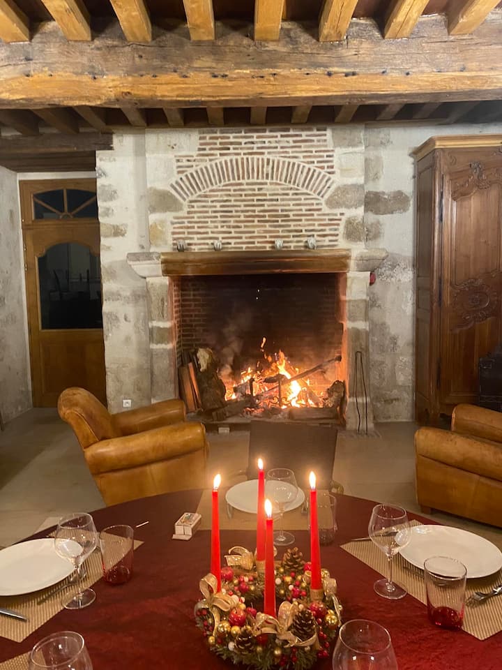 Château Au Cœur Du Vignoble Champenois - Romilly-sur-Seine