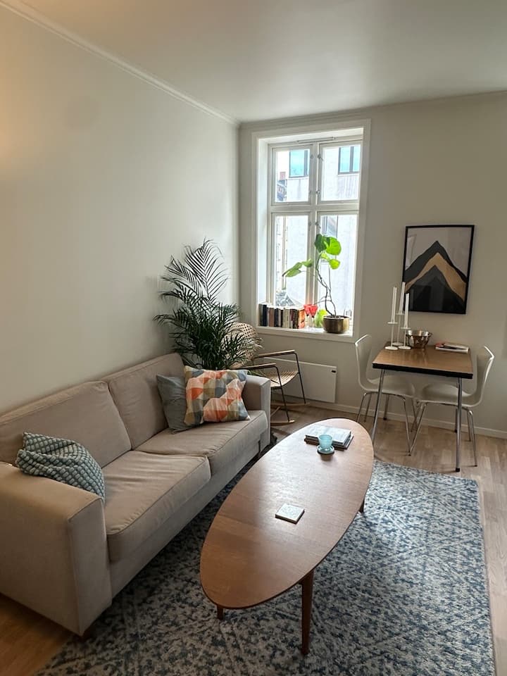 Lys Nyoppusset 2 Rom På Rodeløkka - Oslo