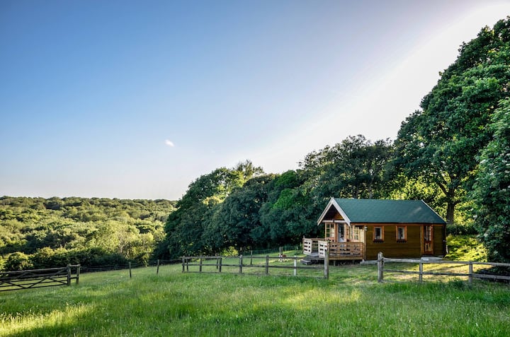 The Secret Log Cabin - Kent