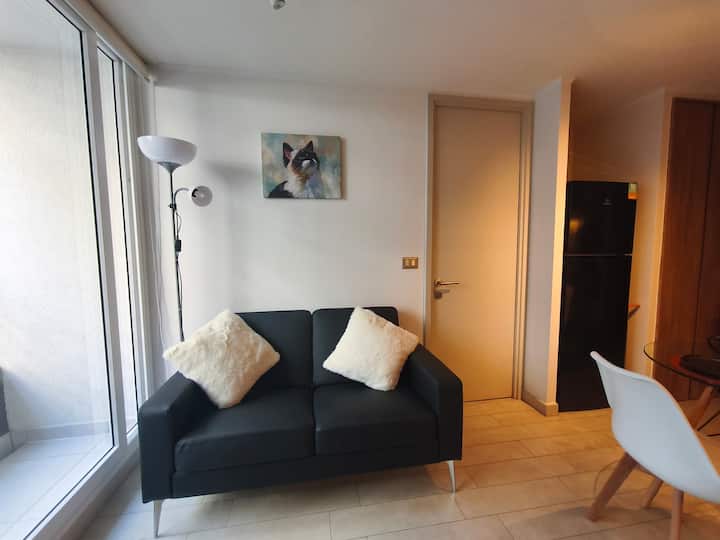 Acogedor Y Moderno Departamento En Santiago - Santiago