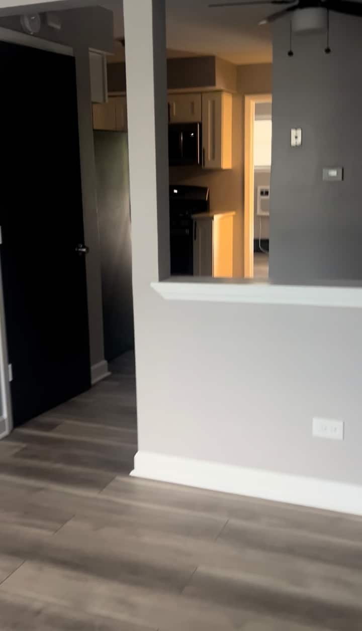 Modern 1b1b Apartment 30 Minutes From Chicago! - Elmhurst, IL