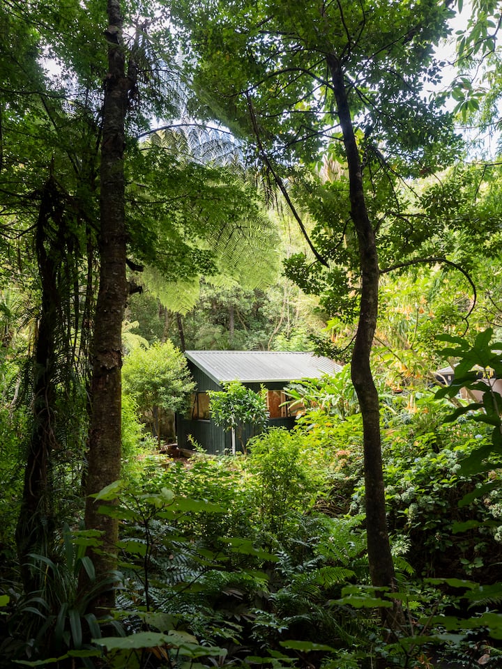 Kereru Hideaway | Peaceful Bush Studio Near Town - Taranaki
