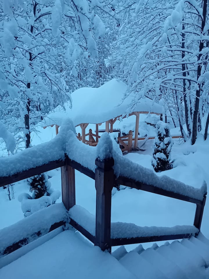 Căsuța Bunicilor Retezat - Sarmizegetusa