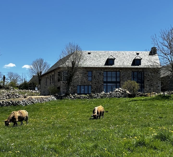 Ferme Typique Du Plateau De L'aubrac Rénovée - Laguiole
