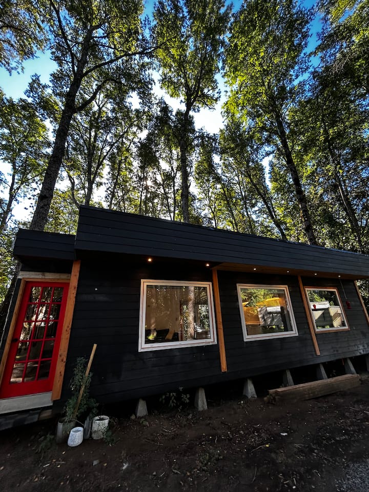 Lemu Lodge Cabaña Negra - Los Ríos