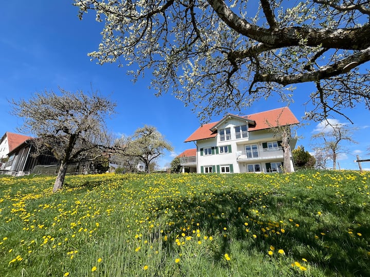 Am Hühnerstall - Altusried